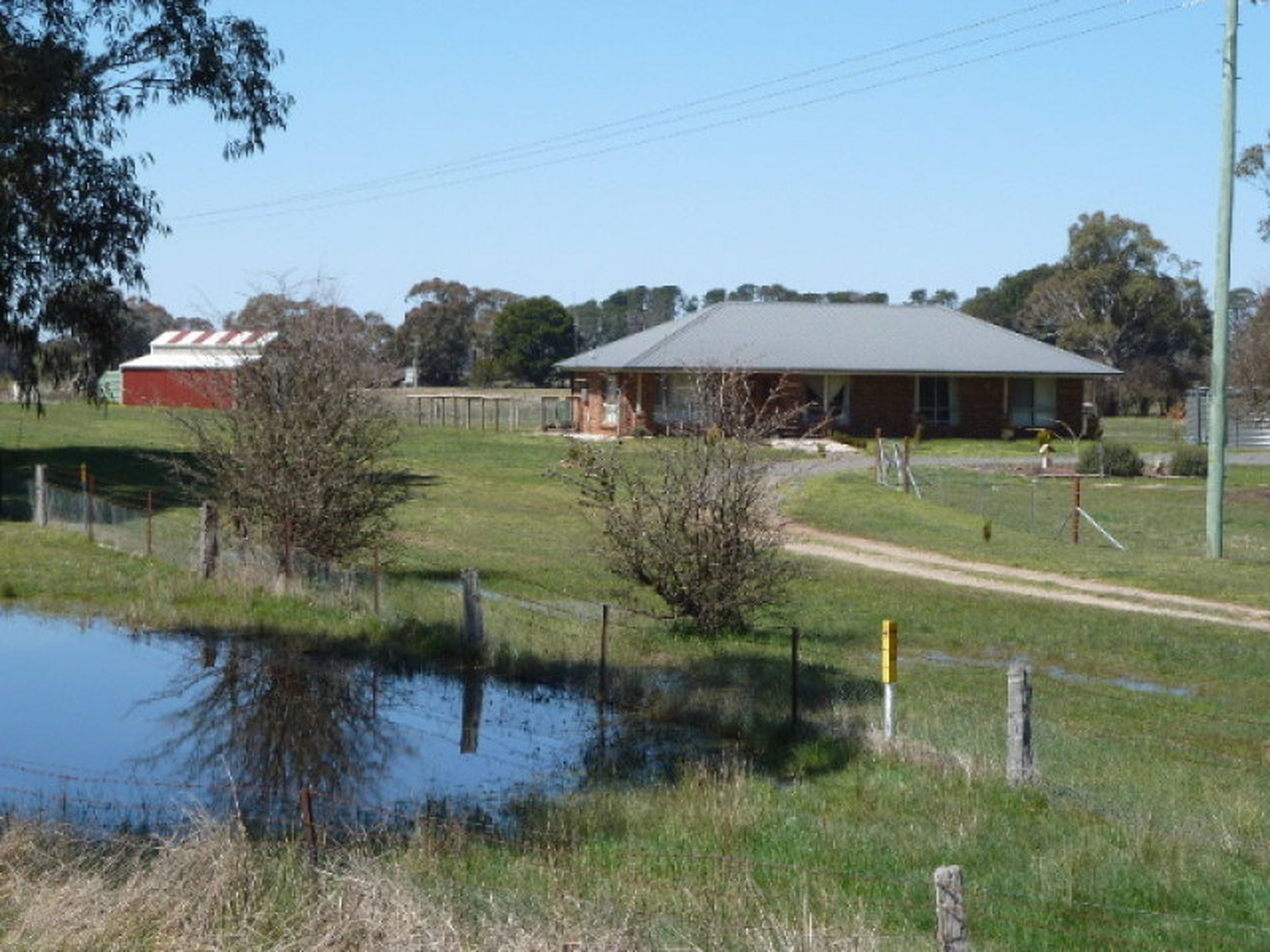 308 Orchard Road, Orange, NSW | AWN Livestock and Property