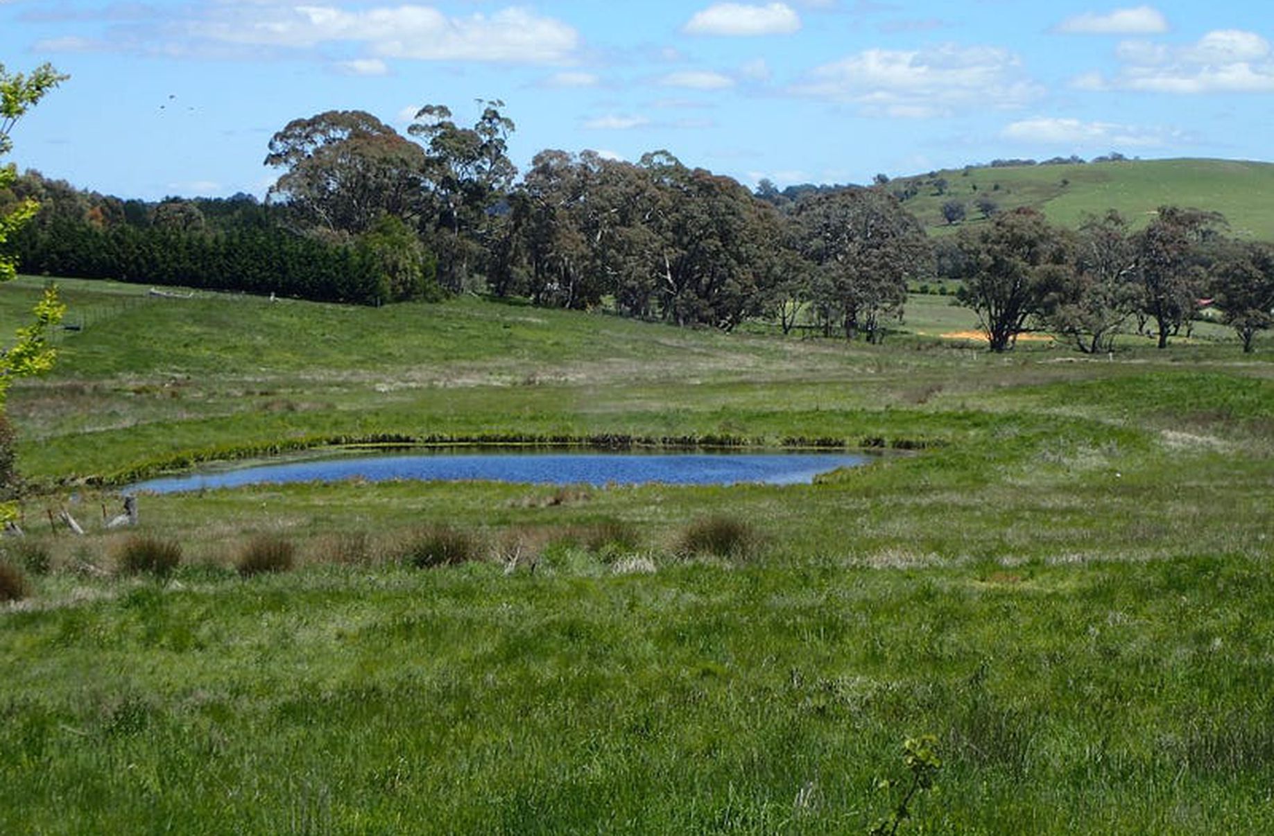 Crookwell | Paul Pace Country (NSW)