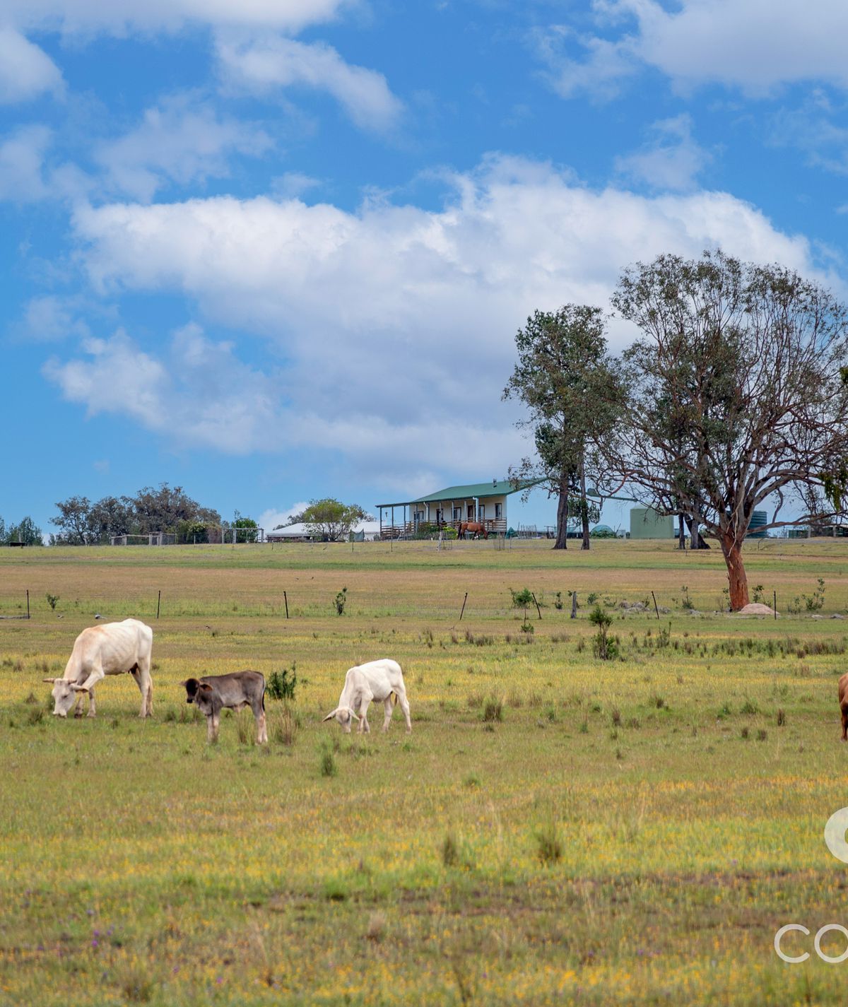 1461 Atholwood Road, Bonshaw | Country Wide Property