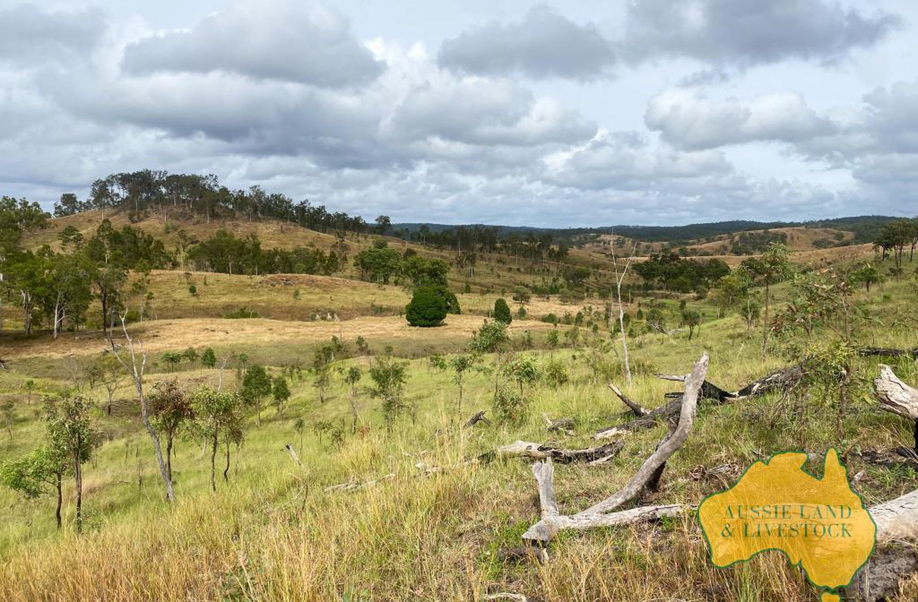 59 MUNGY ROAD, Mungy | Aussie Land & Livestock