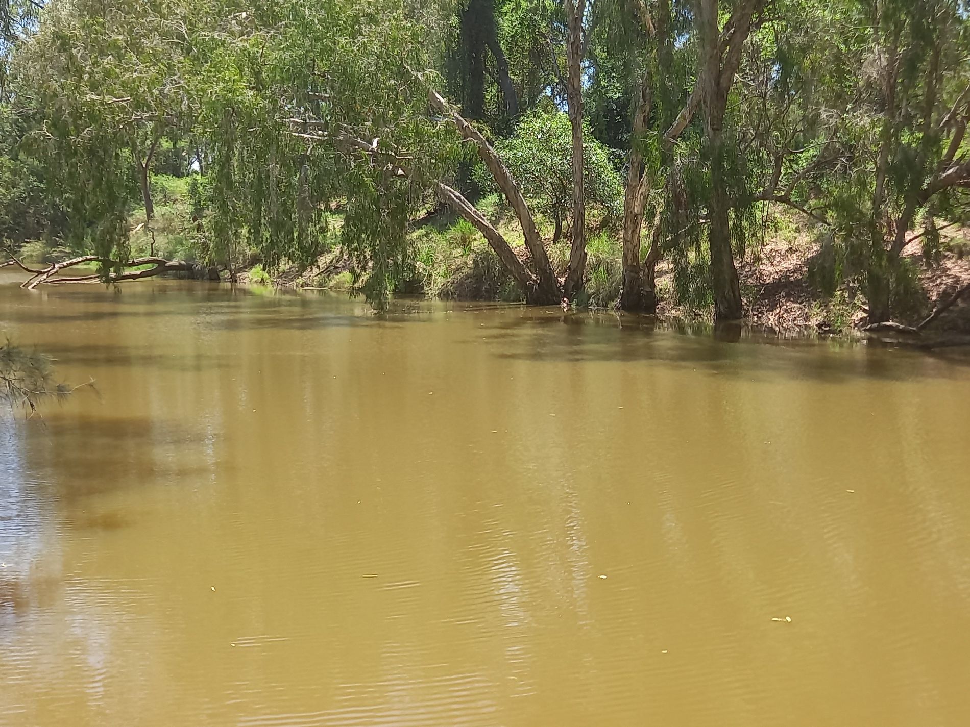 38968 Gregory Development Road, Basalt | Jensens Real Estate & Livestock