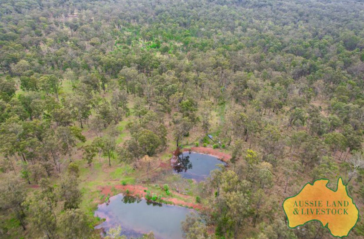 Rural | Aussie Land & Livestock