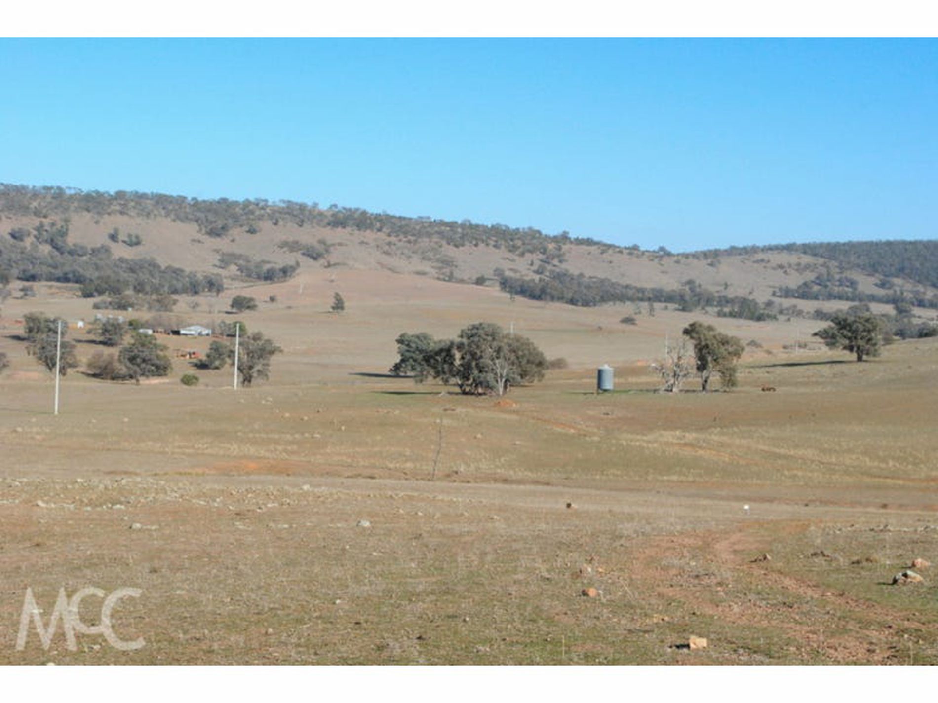 136 McLachlan Road, Manildra, NSW | AWN Livestock and Property