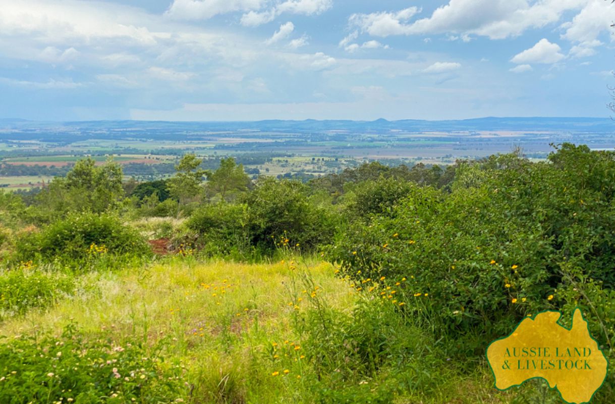 Rural | Aussie Land & Livestock