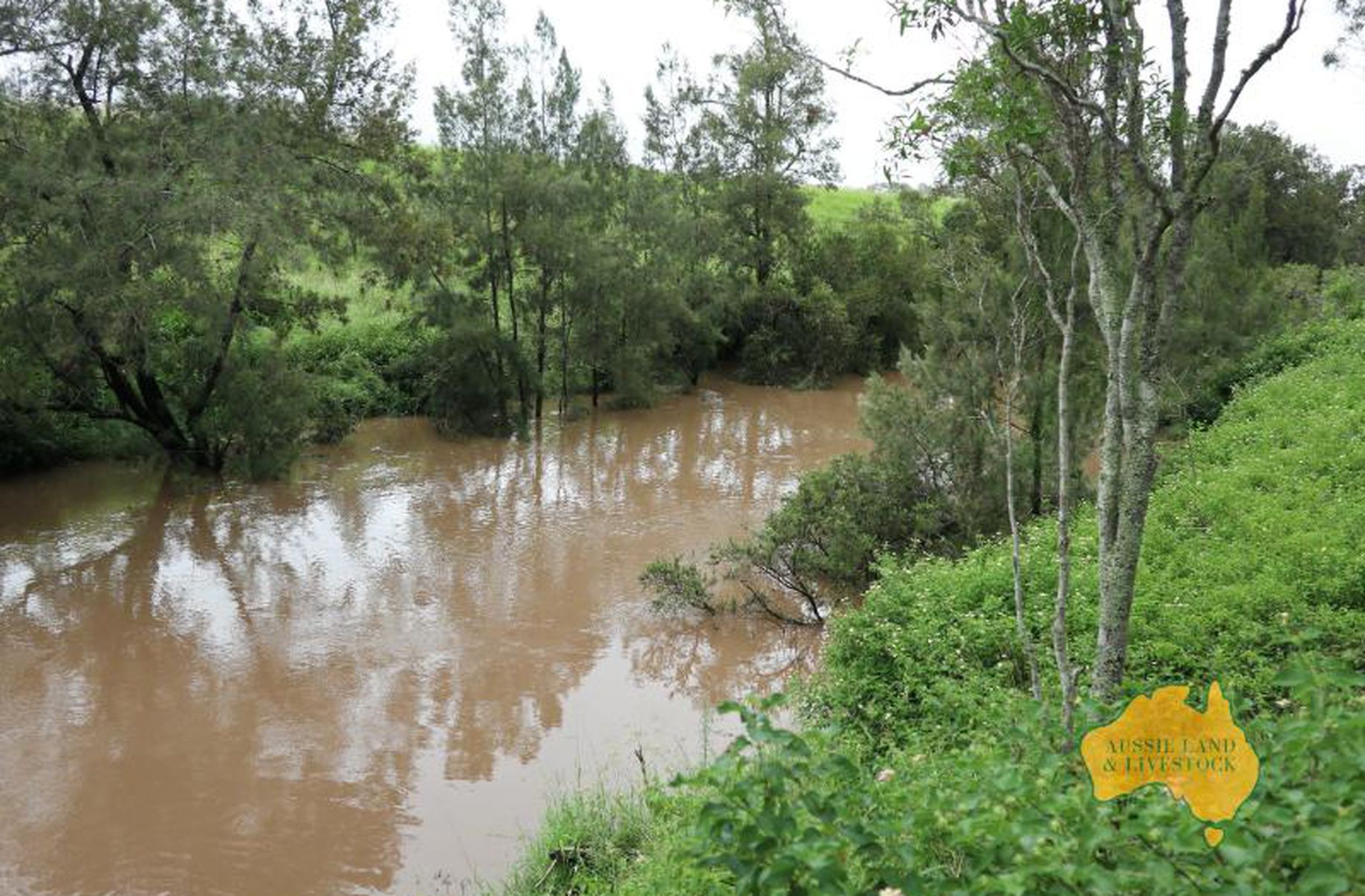0 Cooyar Kooralgin Road, Kooralgin | Aussie Land & Livestock