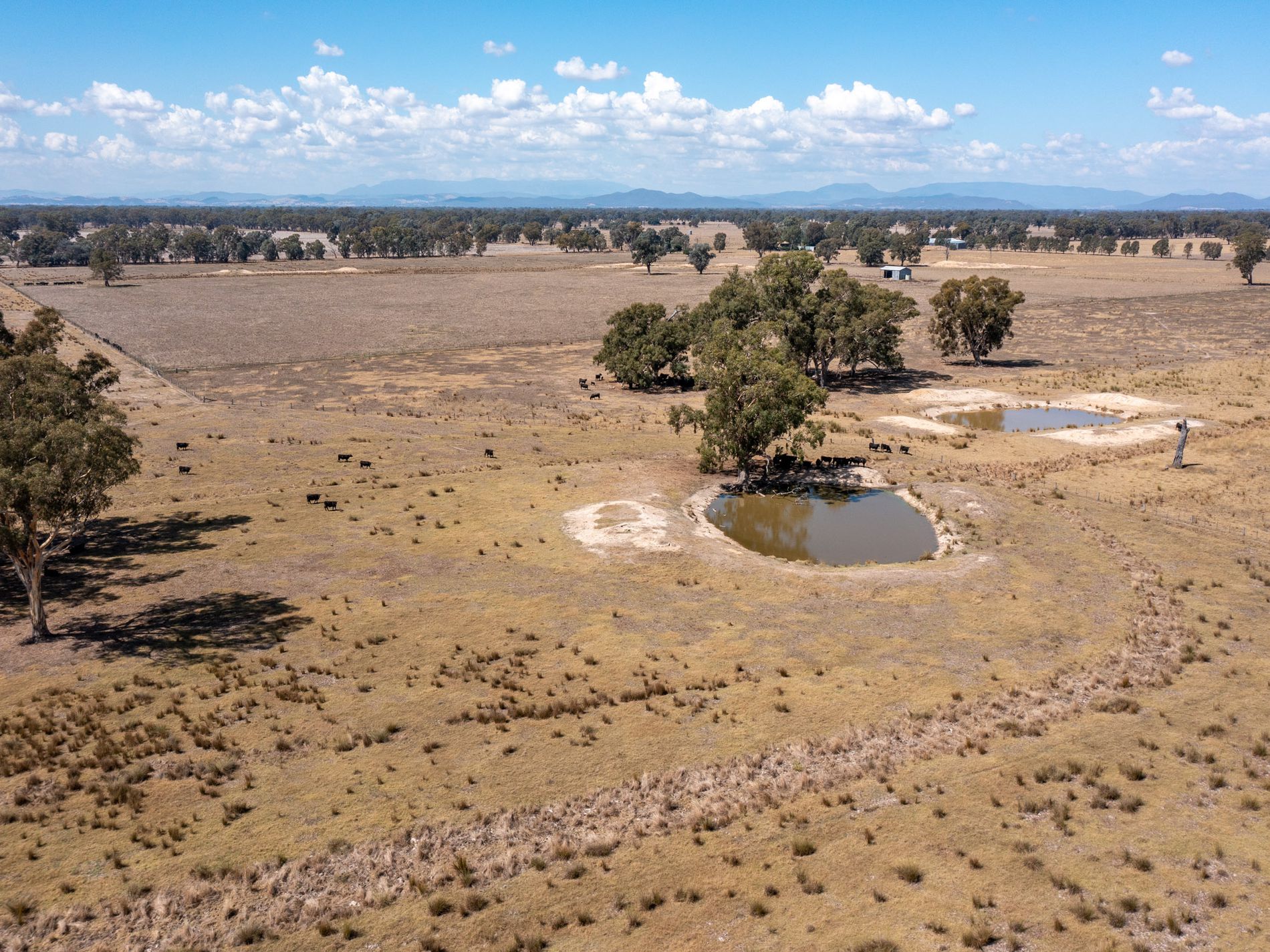 Laceby | Morris Bros Real Estate