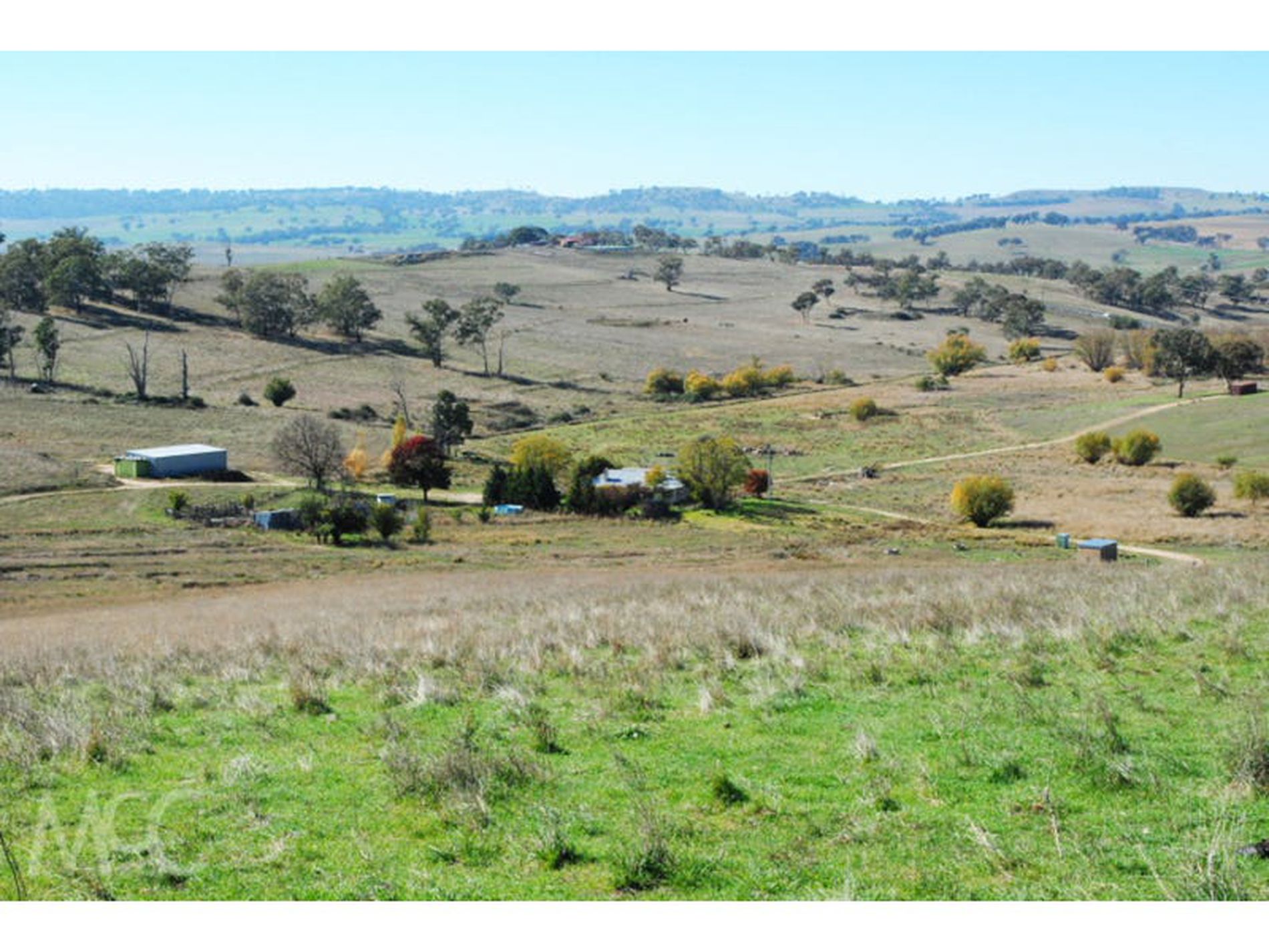 1370 Mid Western Highway, Evans Plains, NSW | AWN Livestock and Property
