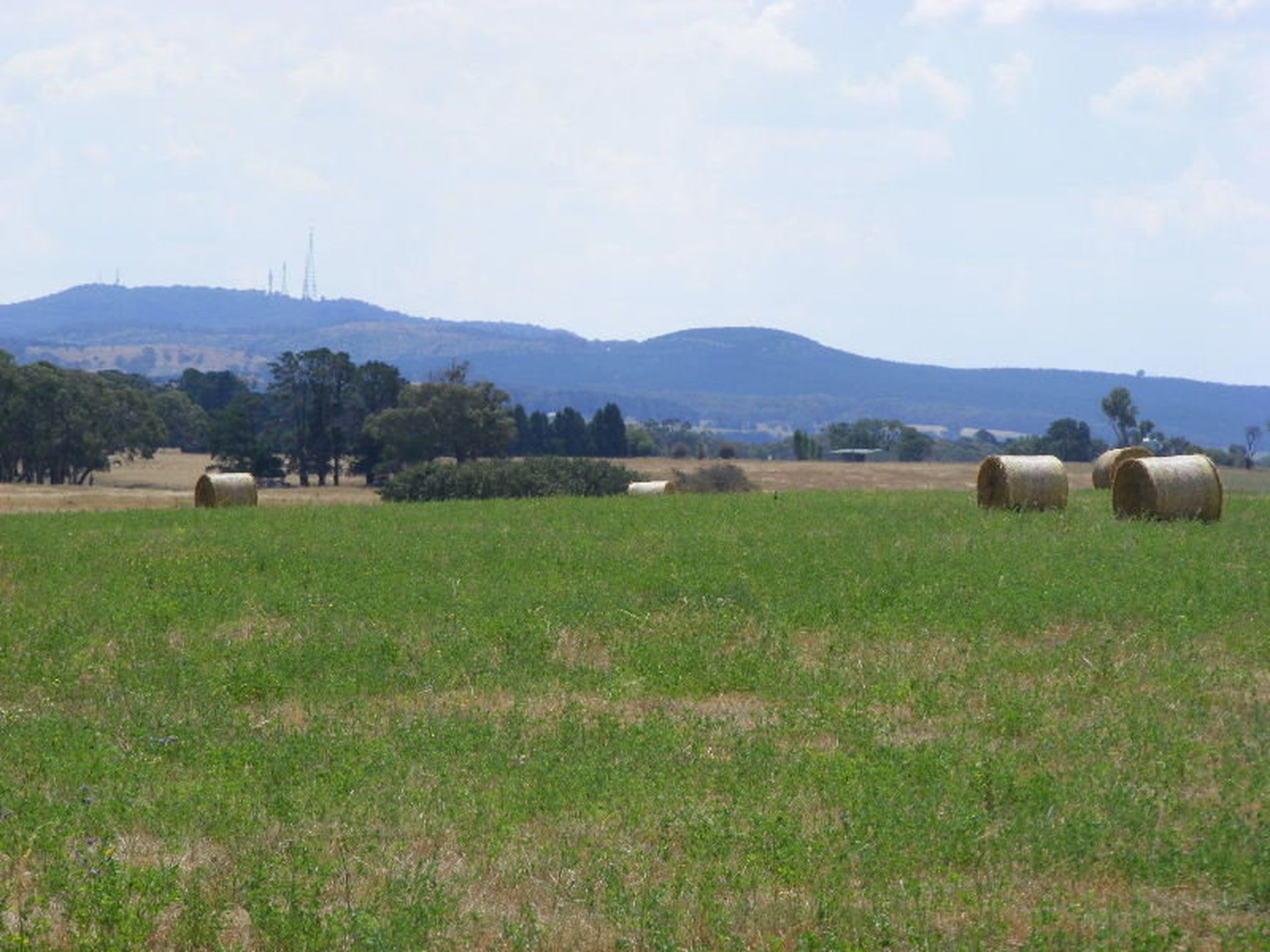 Part Spring Terrace Road, Orange, NSW | AWN Livestock and Property