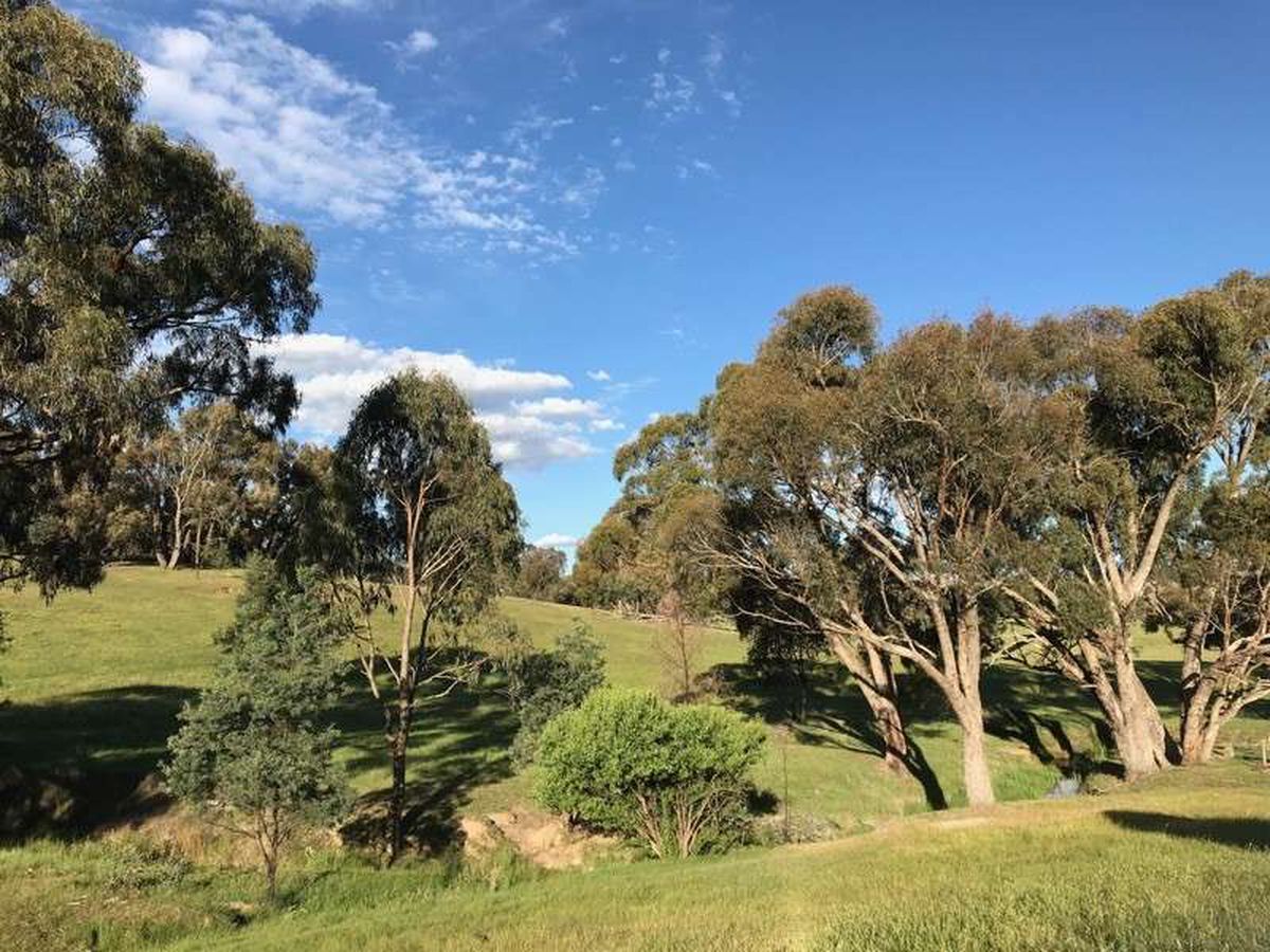 2728 Junction Point Road, Binda | Duncombe & Co