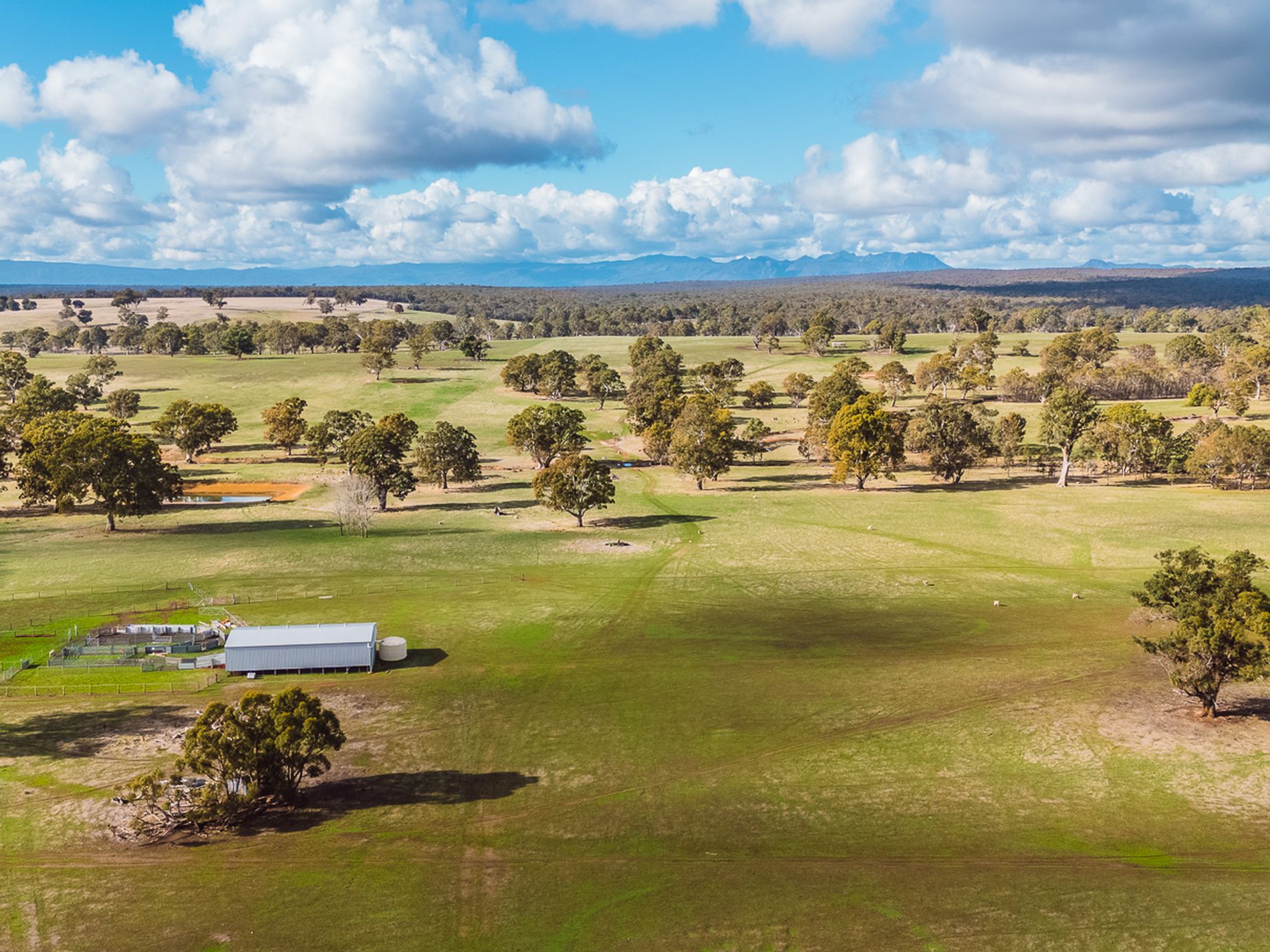 1918 Cavendish-Glendinning Road, Gatum, VIC | AWN Livestock and Property