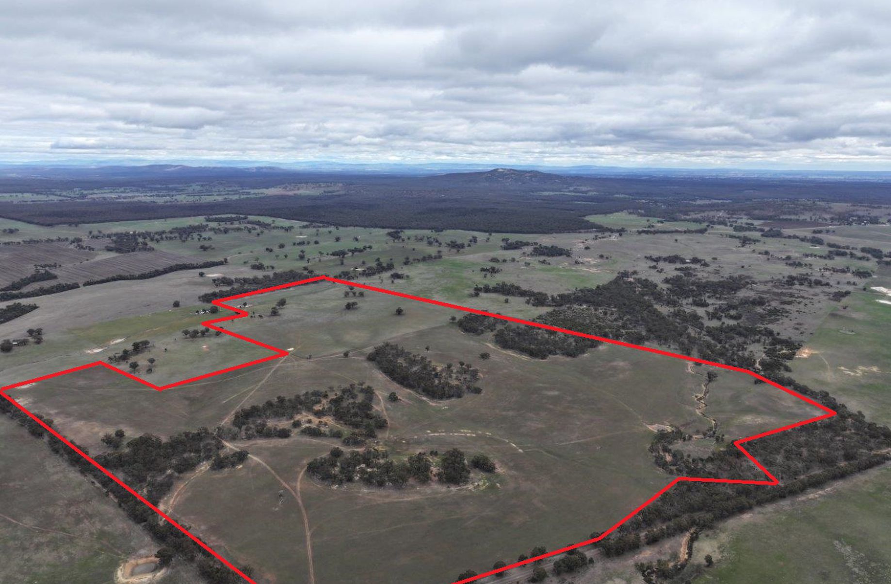 Lot 1 Rheola - Llanelly Road , Murphys Creek | F.P. Nevins & Co. Real ...