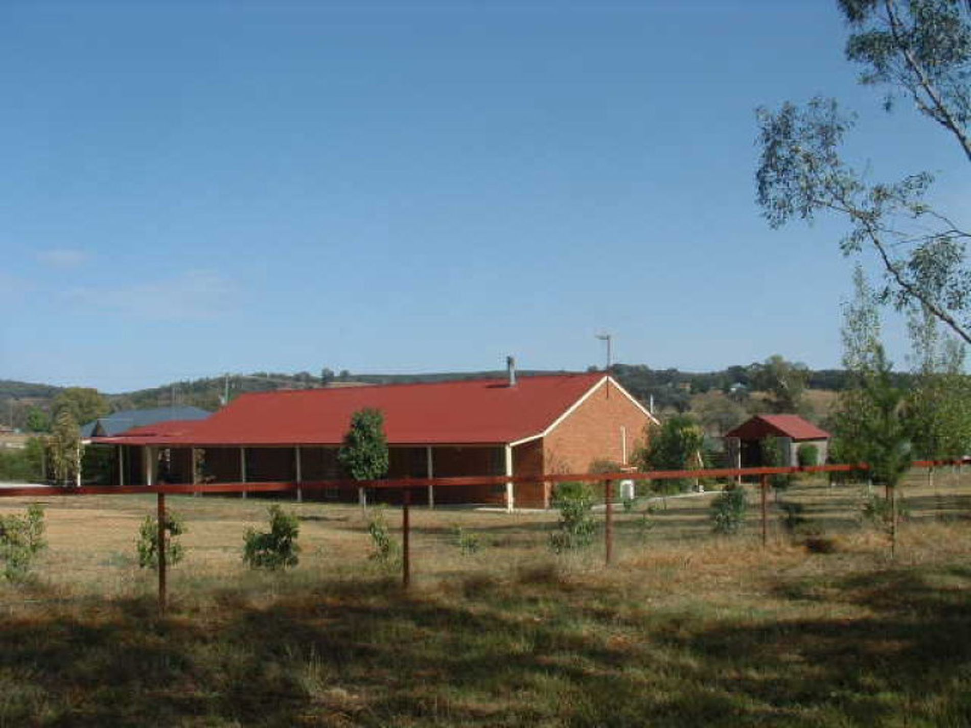 102 Speedy Street, Molong, NSW | AWN Livestock and Property