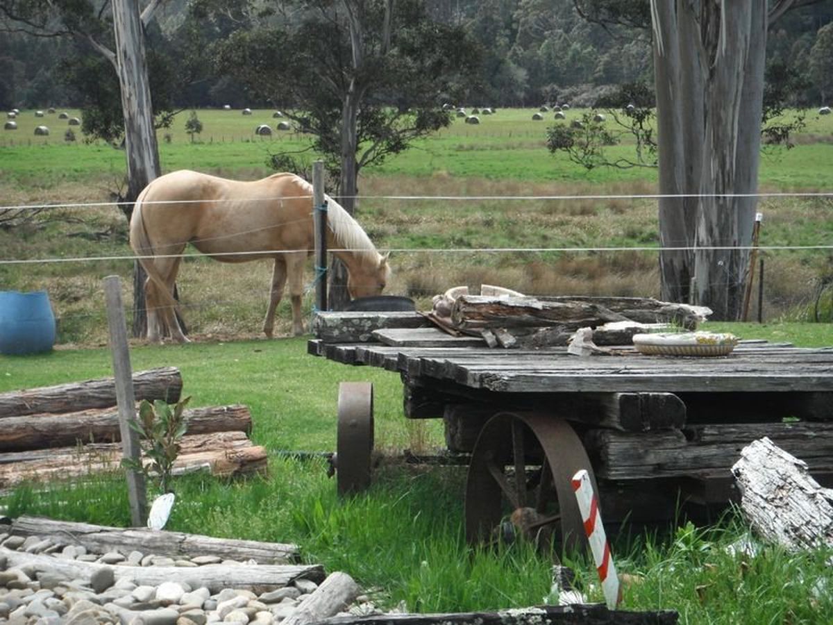 1658 Upper Esk road, Upper Esk | Q Real Estate TAS