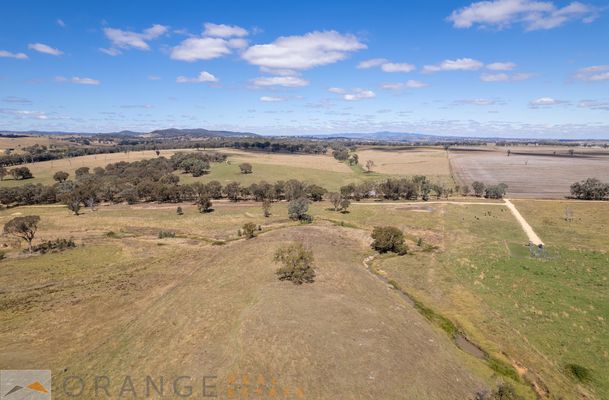 Real Estate & Properties For Sale Orange | Orange Real Estate