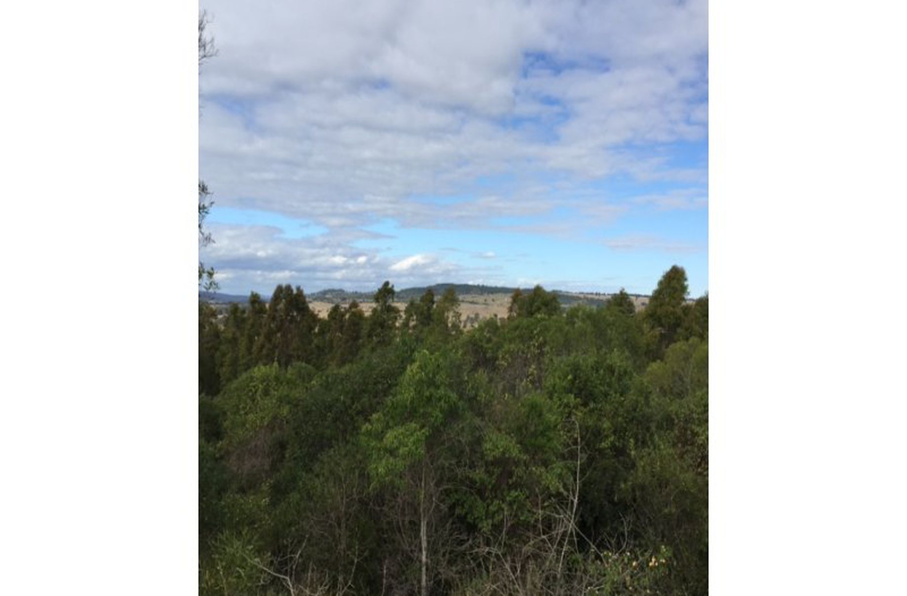 Durong Road, Tingoora | Aussie Land & Livestock