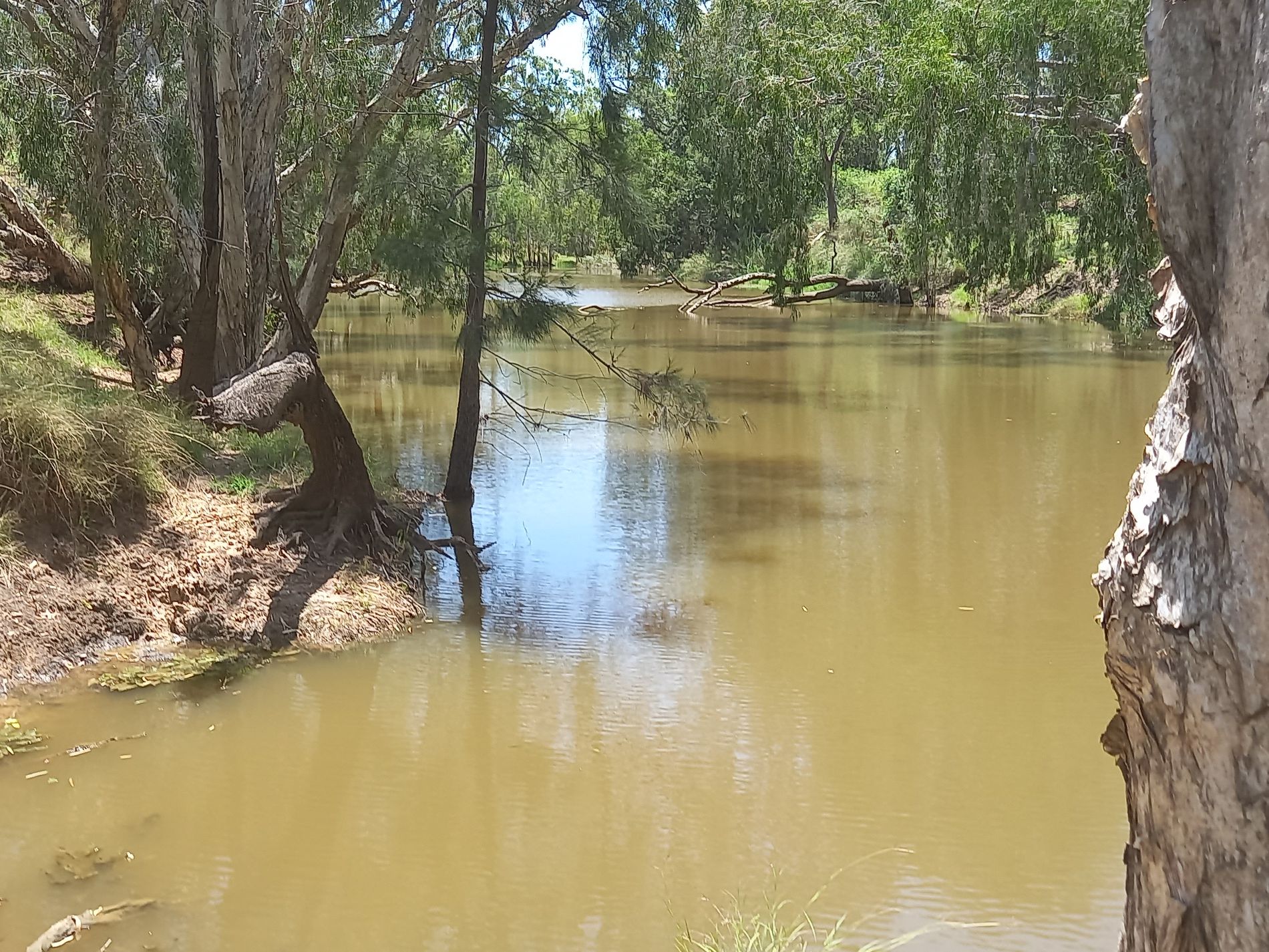 38968 Gregory Development Road, Basalt | Jensens Real Estate & Livestock