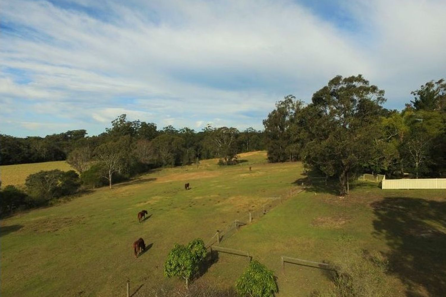 17 Alpine Drive, Tinonee | Manning Valley Property & Livestock