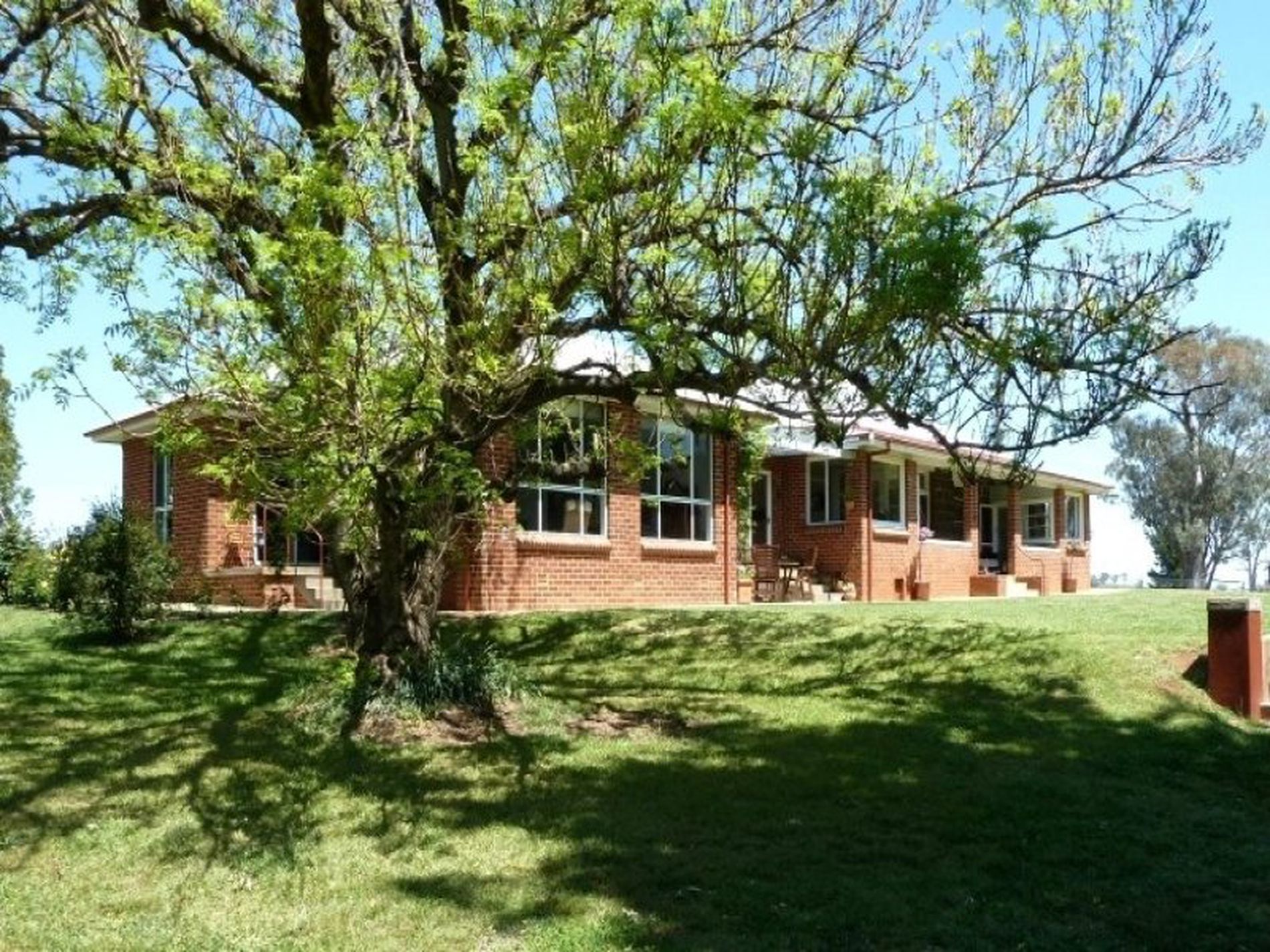 435 Boree Lane, Orange, NSW | AWN Livestock and Property
