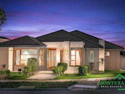 Properties For Sale | MONTERA REAL ESTATE