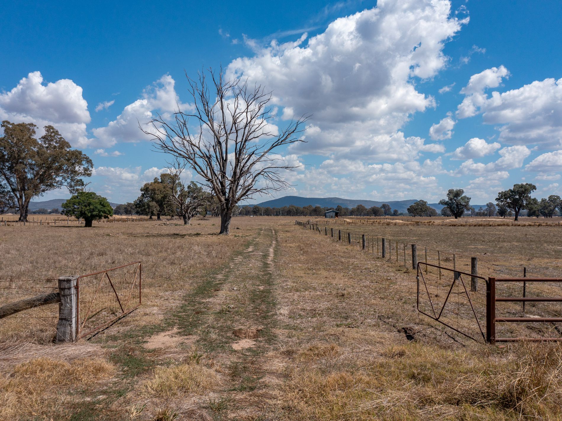 Laceby | Morris Bros Real Estate