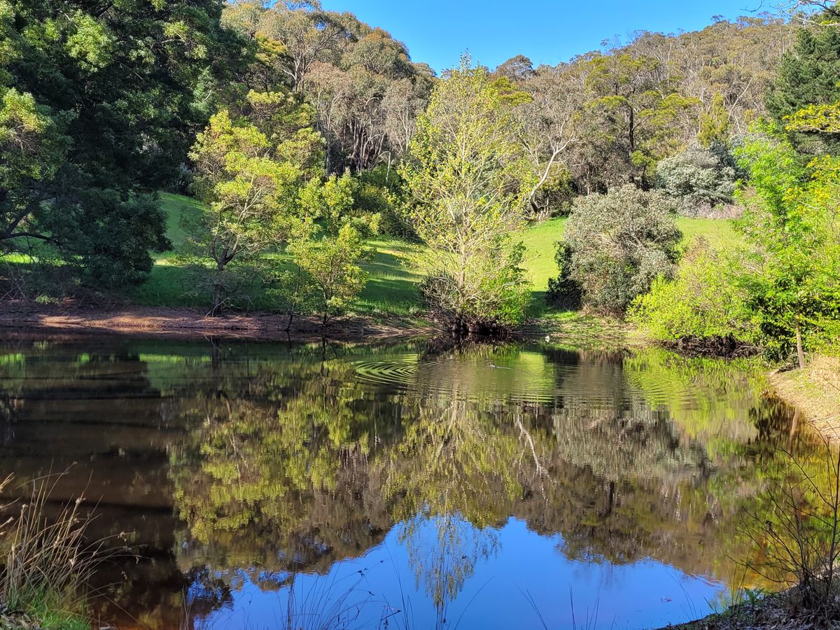 Sec 172 Carthew Road, Scott Creek | Gardiners Real Estate