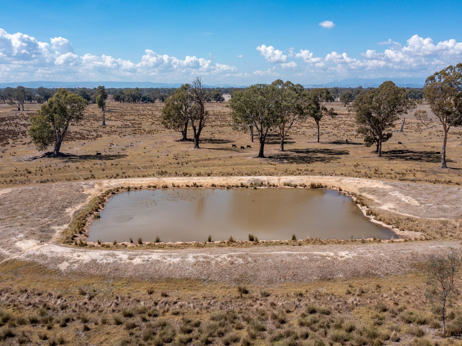 Laceby | Morris Bros Real Estate