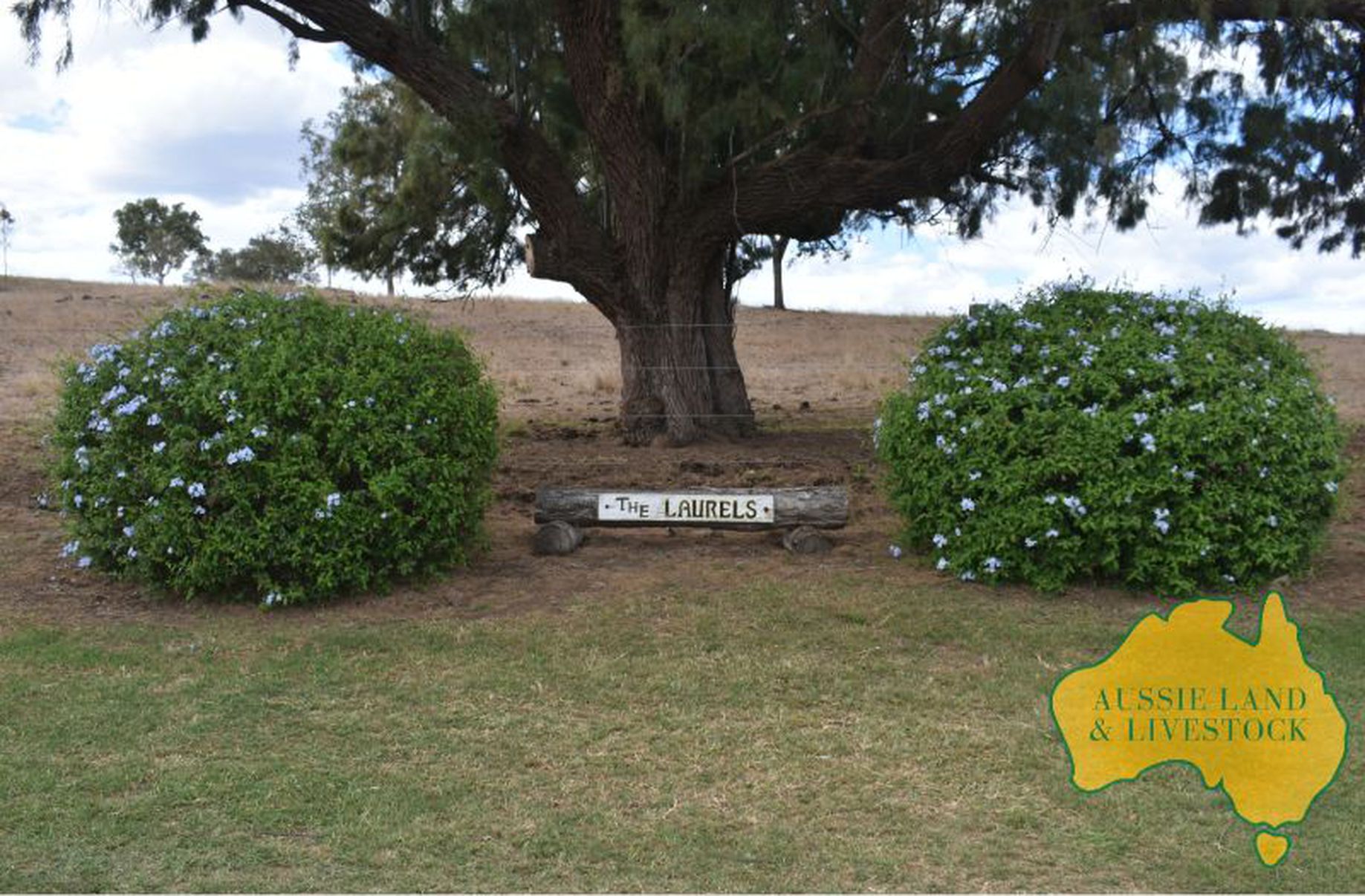 850 Morgans Road, Windera | Aussie Land & Livestock