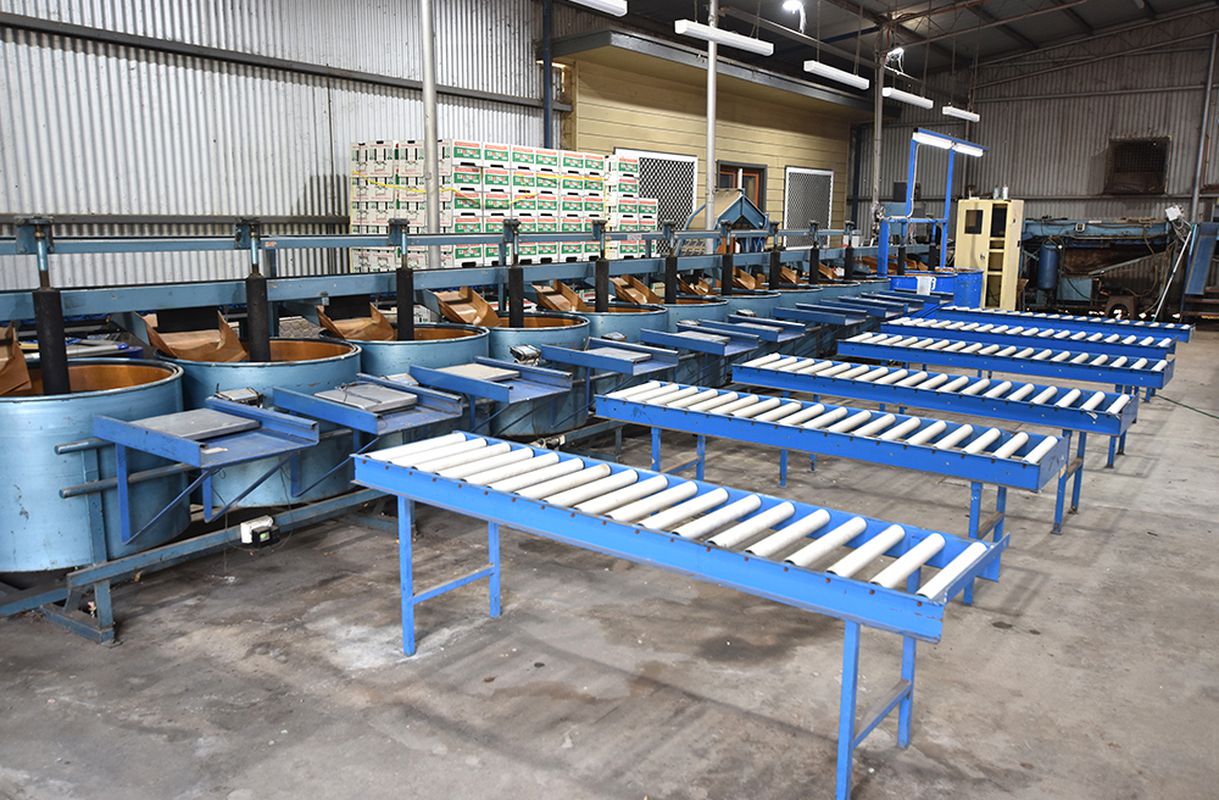 Clearing Sales | H&G Real Estate