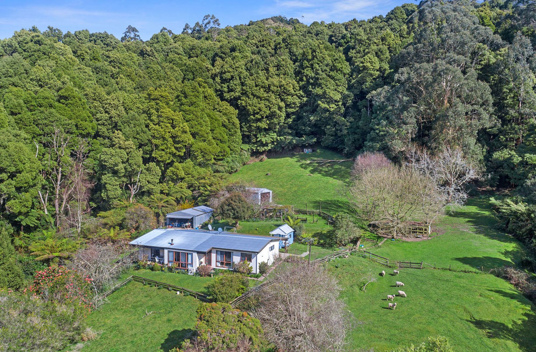 775 Barham River Road, Apollo Bay | Goodlife Real Estate Australia