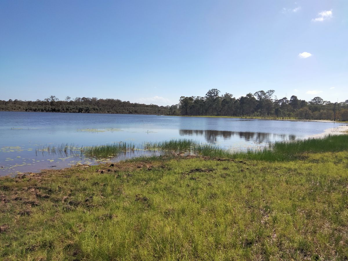 2913 Rosedale Road, Yandaran | Michaels Real Estate Bundaberg