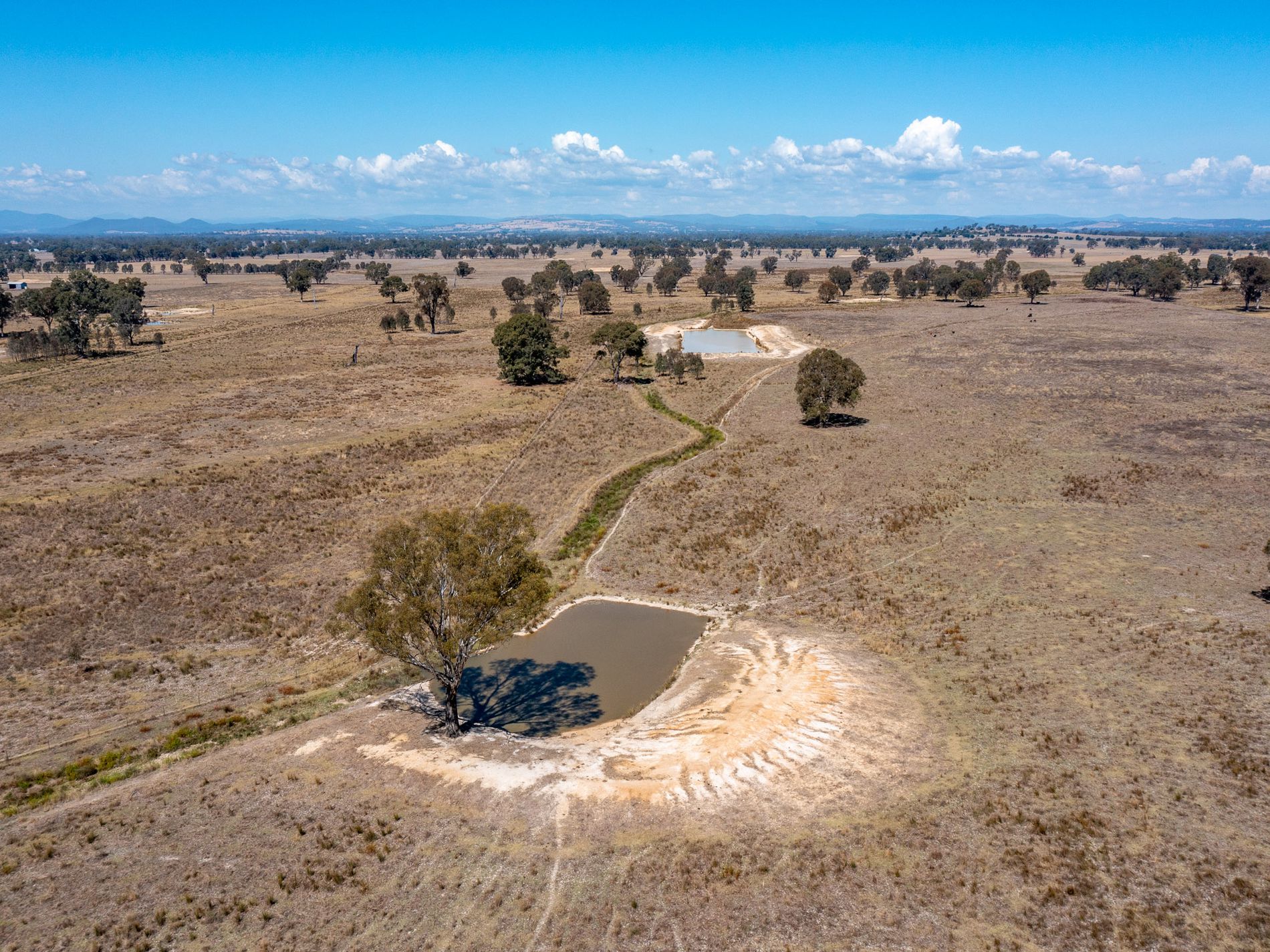 Laceby | Morris Bros Real Estate