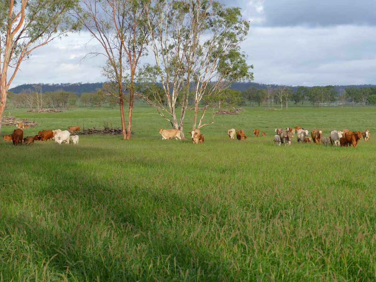 Mungallala | Resolute Property Group