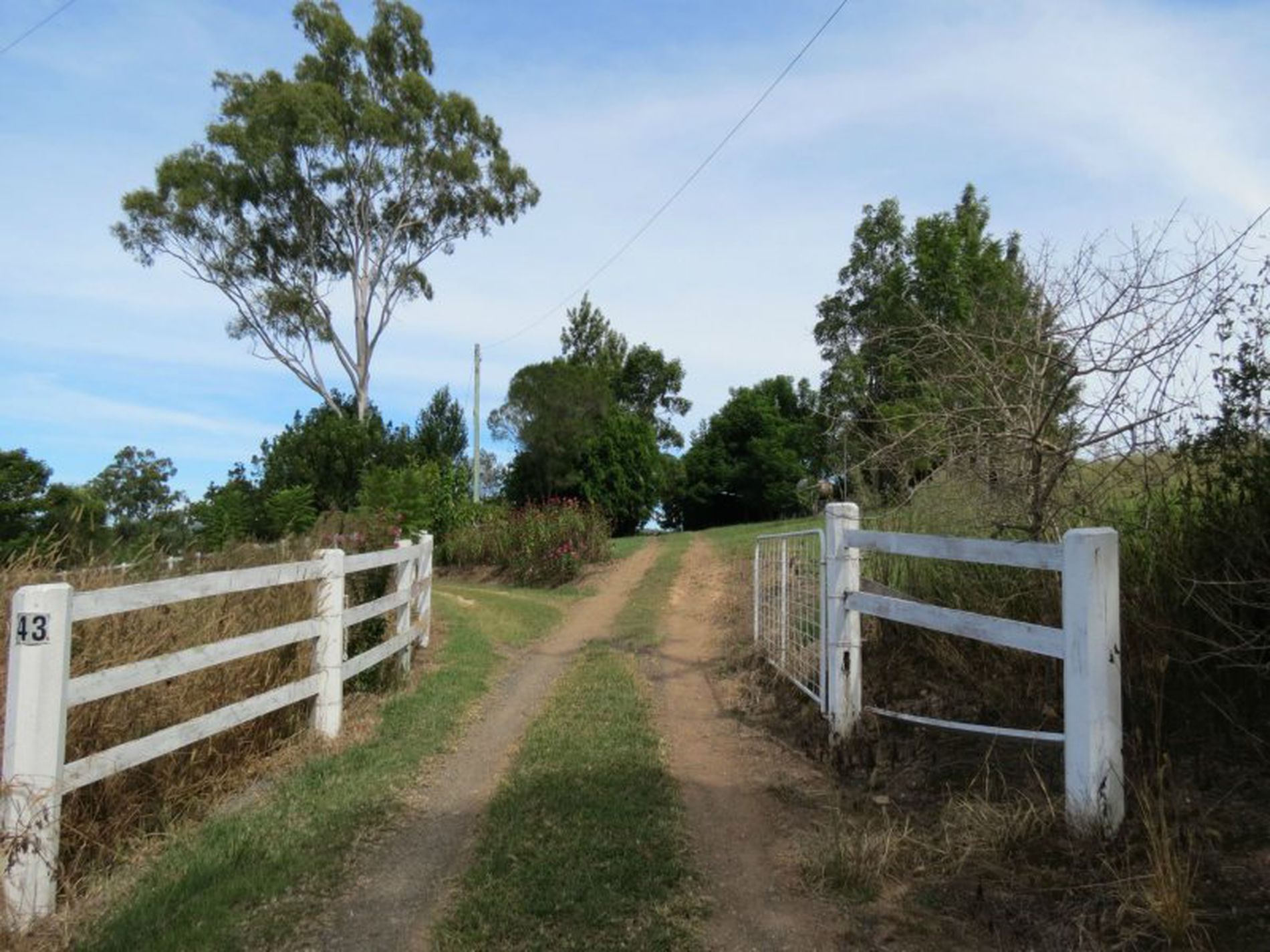 43 Alpine Drive, Tinonee | Manning Valley Property & Livestock