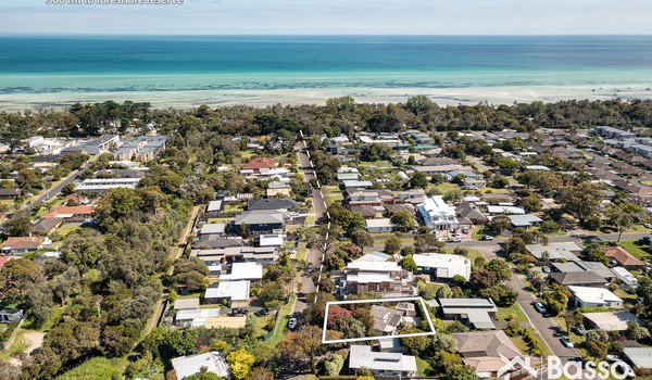 Bucky Australia's Most Famous Real Estate Agent - Basso Real Estate