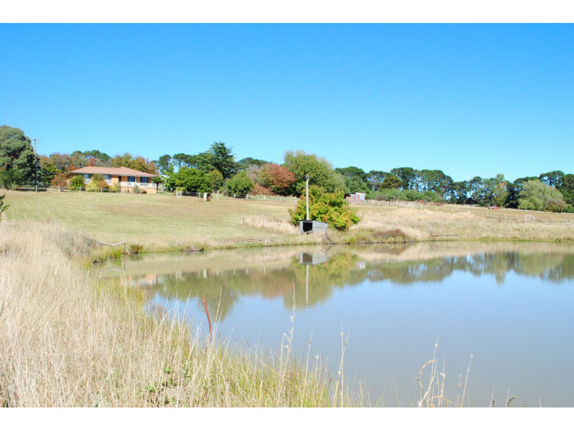 676 Cadia Road, Orange, NSW | AWN Livestock and Property